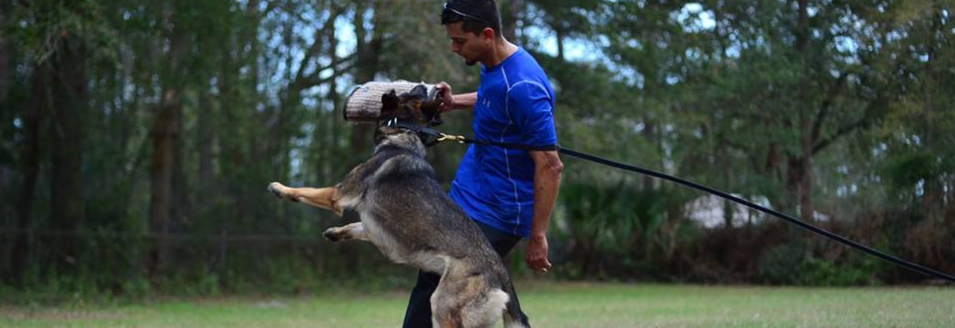About Us | Vanguard Protection Dogs