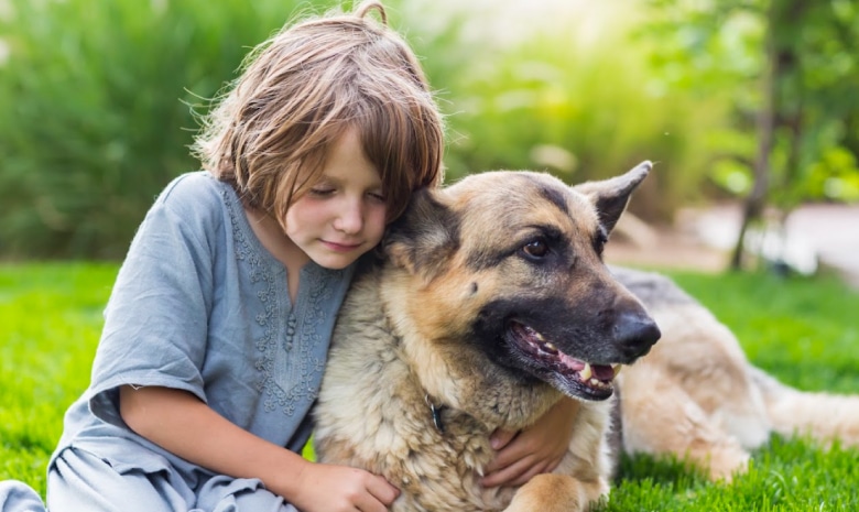 How to Introduce a Protective Dog to Your Family | Vanguard Protection Dogs