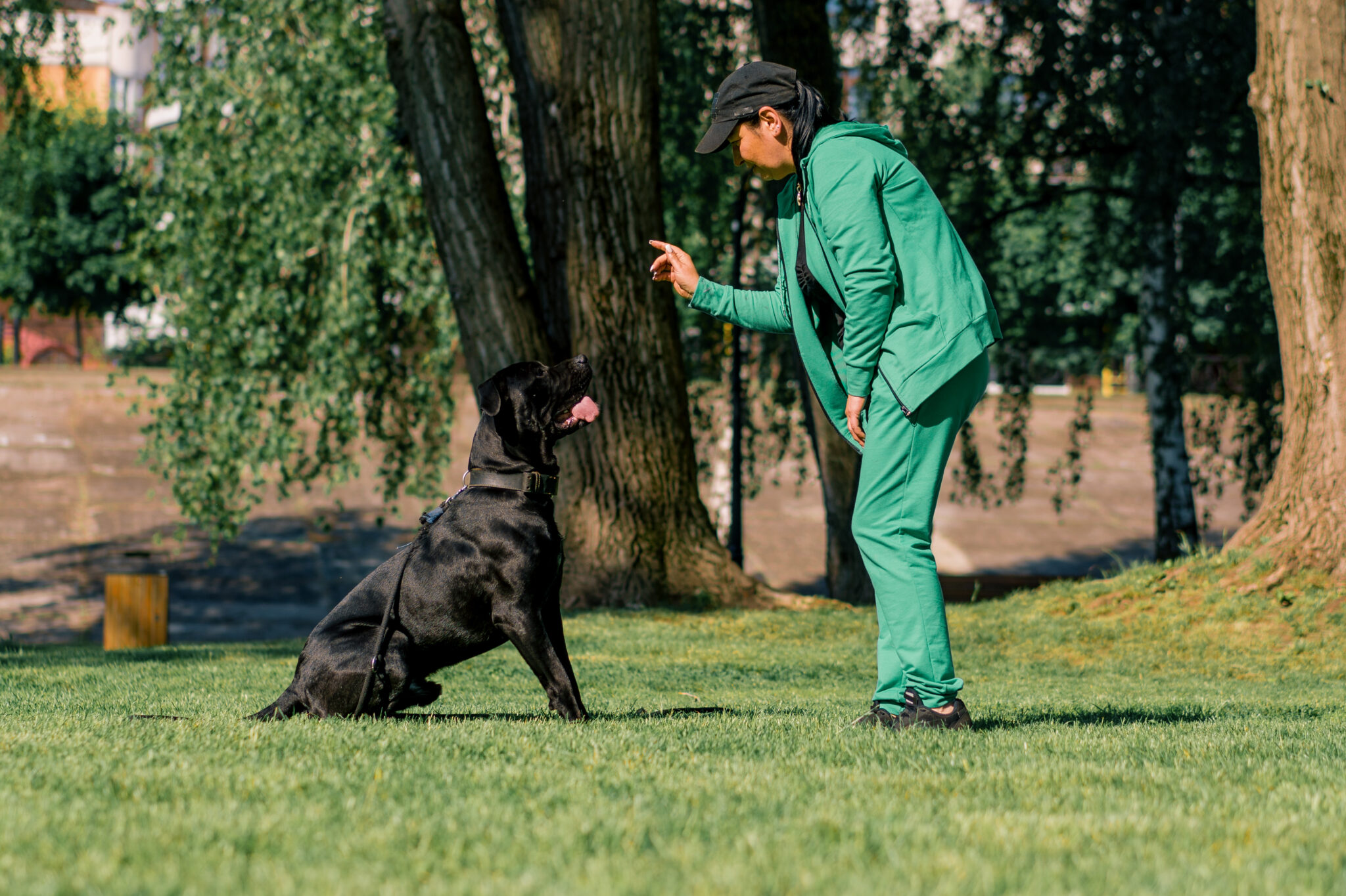 Commands Every Protection Dog Should Know | Vanguard Protection Dogs
