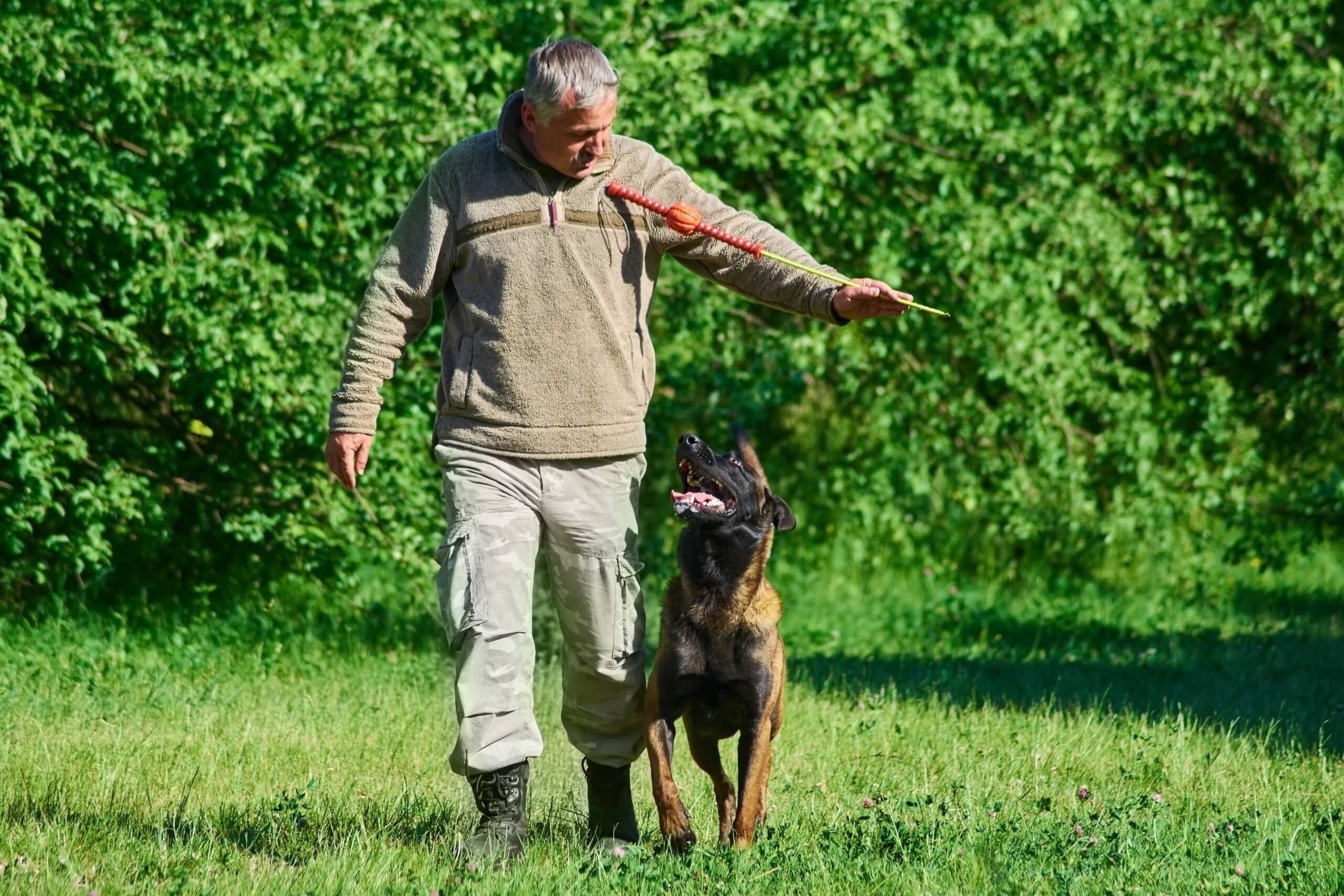 Choosing a Protection Dog Trainer | Vanguard Protection Dogs